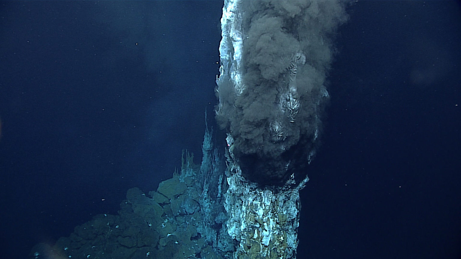 Hydrothermal Vents Fact Sheet - Deep Ocean Education Project